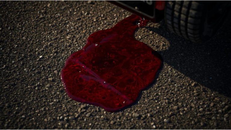 How to Identify and Fix Red Fluid Leaks in Cars: Expert Mechanic Guide